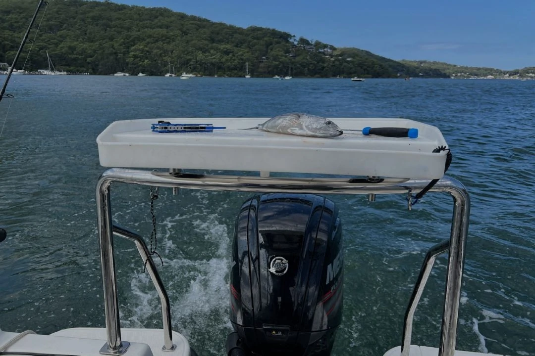 Custom Stern Rails Sydney | Exclusive Marine Fabrication